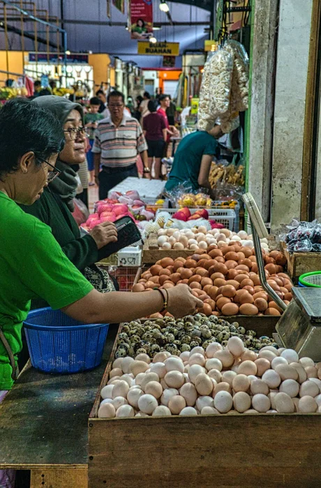Harga Telur Anjlok, Kementan Resmi Surati BGN demi Jaga Stok Terbaru 2026