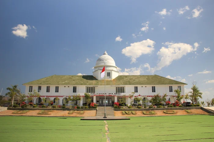 Istana Resmi Rombak BGN demi Tata Kelola dan Kualitas MBG Terbaru 2026
