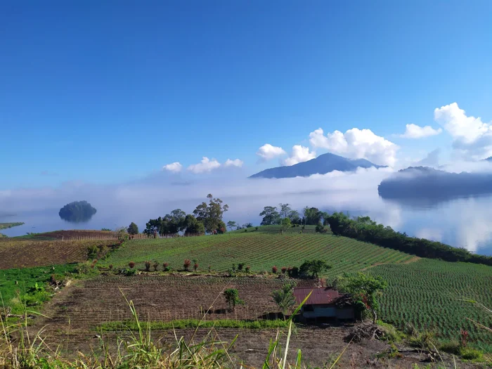 UI vs Binus: Inovasi Desa Wisata Tomohon Terbaru 2026, Siapa Juaranya?